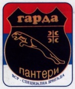 Soviet assault vest BVD