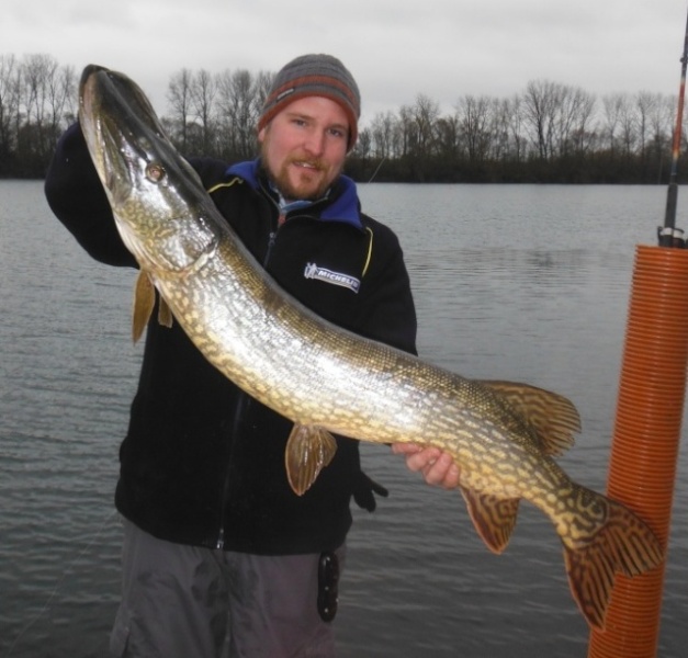 Photos de brochets : grand brochet